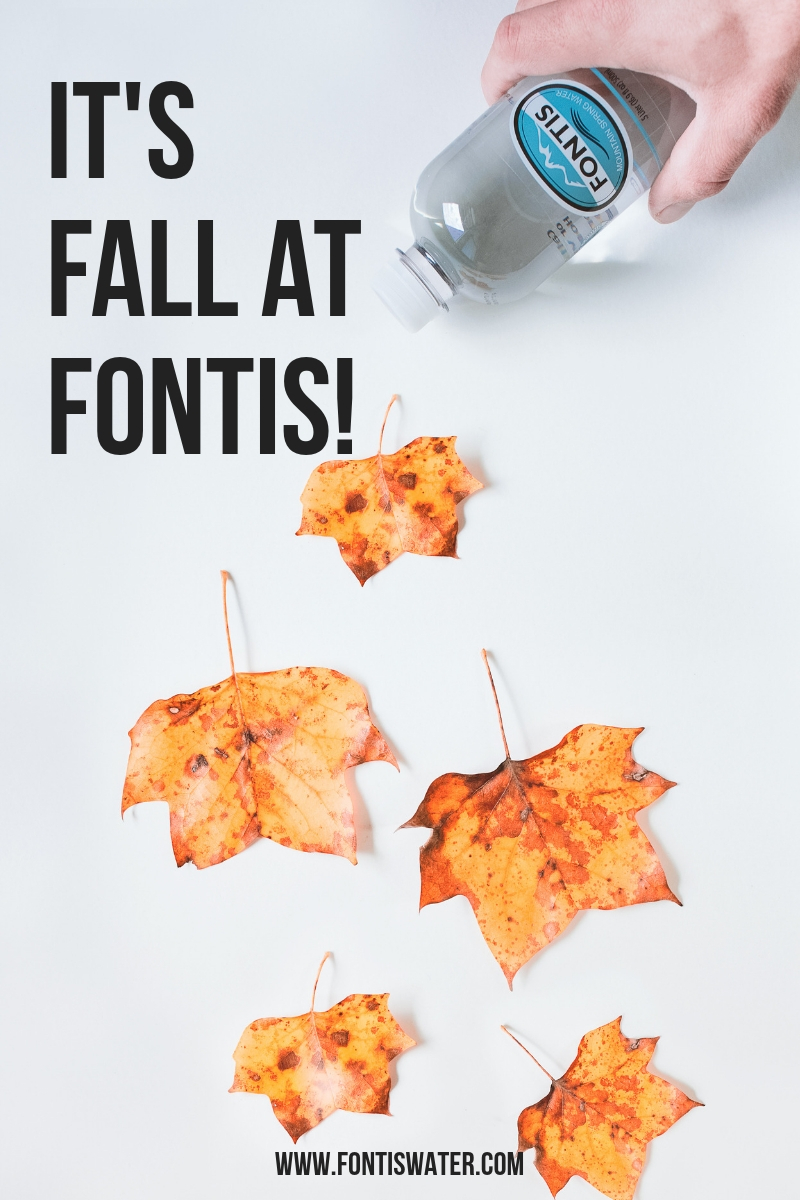 Fall Into Hydration: Fontis Water's 2023 Guide To Amazing Wellness ...